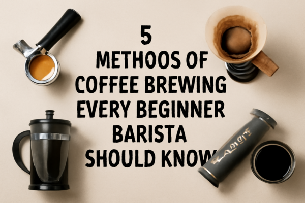 5 Methods of Coffee Brewing Every Beginner Barista Should Know